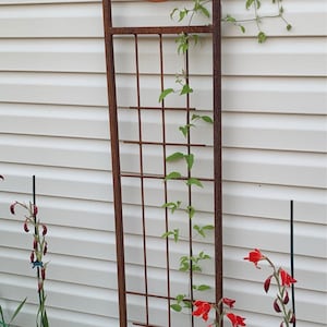 Brilliant Rays of the Sun With Moon...garden Trellis Plant Trellis ...