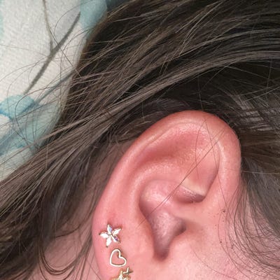 16G Tiny Shell Flower Stud Earring Helix Conch Cartilage Ear Studs ...