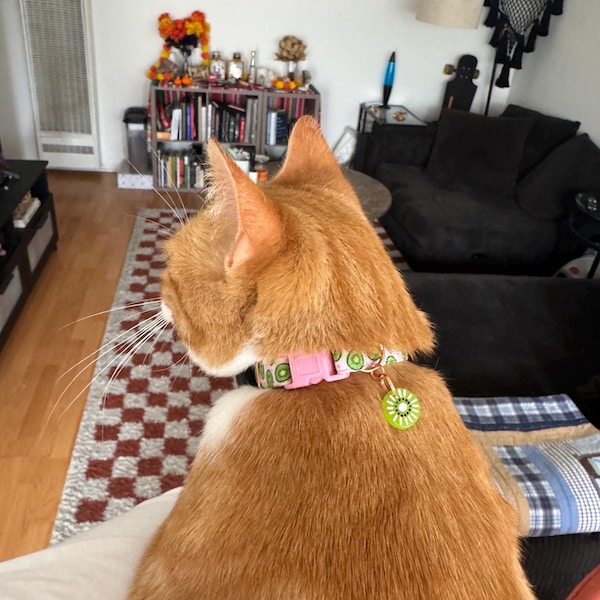 Pink Daisy Cat Collar, Y2k Floral Cat Collar Breakaway, Cute Girl ...