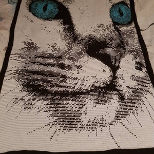 Magnifi-cat Overlay Mosaic Crochet Pattern - Etsy