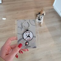 Merit & Demerit Adult BADGES PATCHES for Home Riders High Fives ...