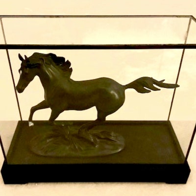 12 X 5 X 10 Tall Glass Display Box With Wood Base Protects and ...