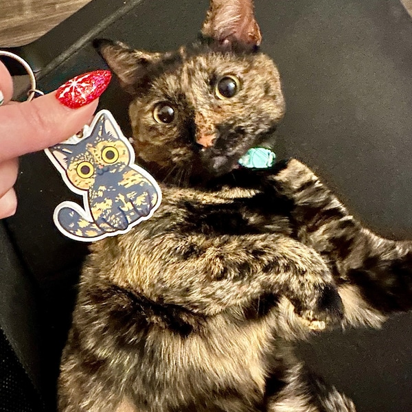 Personalized Cat Keychain for Cat Moms, Custom Cat Keychains, Custom ...