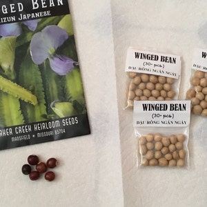 Super Squash Buds Seeds, Hạt Giống Bí Siêu Ngọn, Súper Cogollos De ...