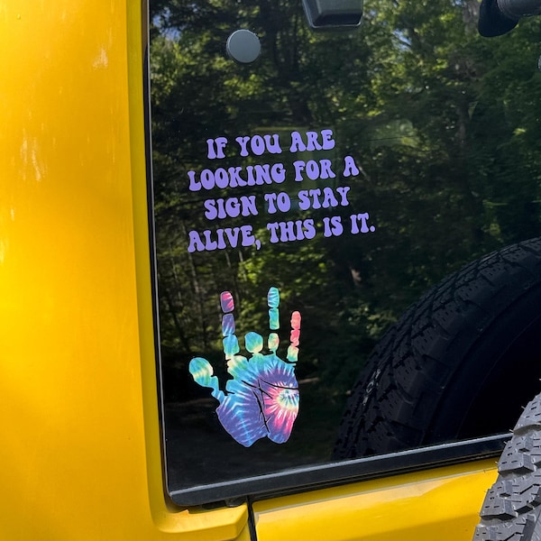 You Matter, Mental Health Decal, 988 Decal, 988 Suicide and Crisis ...