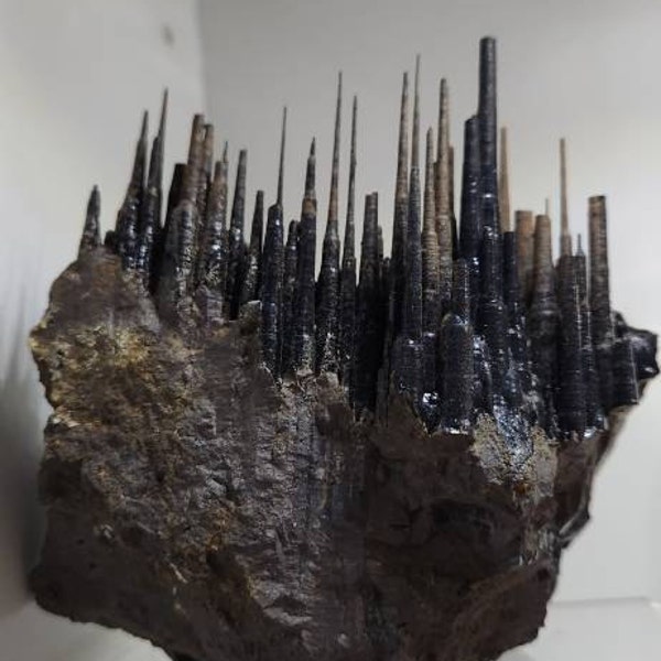 Museum Quality, Very Showy Limonite and Specularite on Stalactite ...