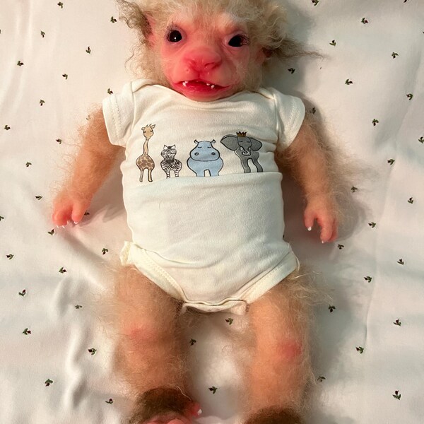 SQUISHY Desert Rain Frog. Cute Butt Frog Fidget - Etsy