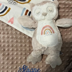 Personalised Owl Teddy, Personalised Plush Toy, Baby Girl Gift, Custom ...