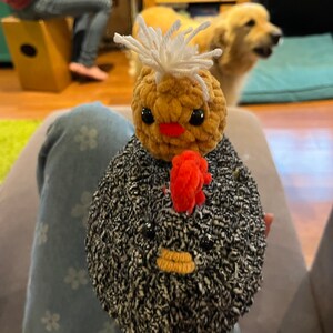 Mama and Mini Mabel Chicken CROCHET PATTERN - Etsy