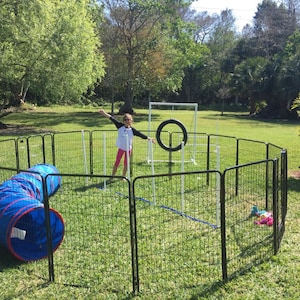 Dog Agility Tire Jump Made From Superior Grade PVC. AKC Regulation Size ...