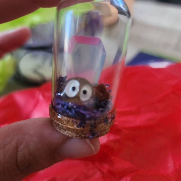 Mini Opal Moon Terrarium - Etsy