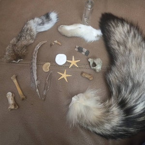 7 African Powers Hoodoo Rice Orisha Blessings Orunmilla - Etsy