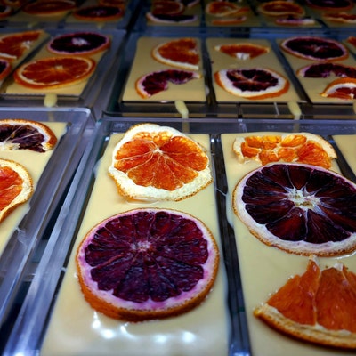 Dried Citrus Wheels in Small Boxes - Etsy