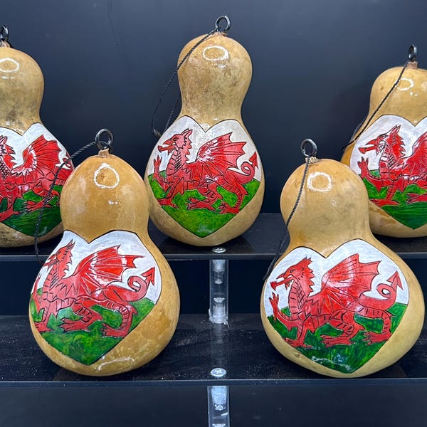 Dried Hard Shell Martin Gourd 7 Diameter - Etsy