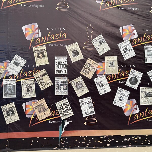 Printable PDF Set of 15 Wizard and Witch Portrait Gallery Wall Art ...