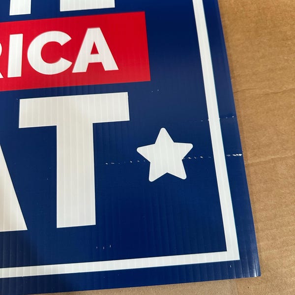 Spineless Politicians for Trump Mike Johnson Double Sided Quick ...