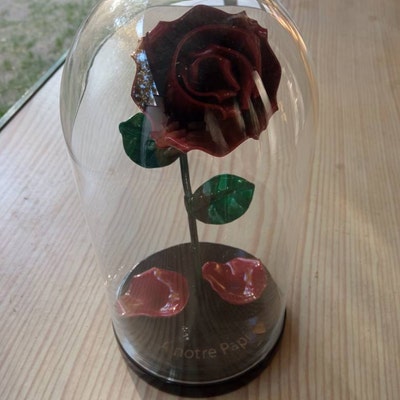 Beauty and the Beast Rose With Fallen Red Petals in Glass Dome on ...