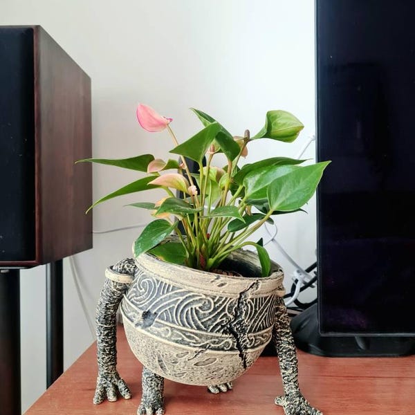 Elden Ring Planter Alexander Pot Boy Warrior Jar - Etsy
