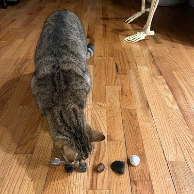 Intense Love and Obsession Spell Love Spell-love Ritual Obsession Spell ...