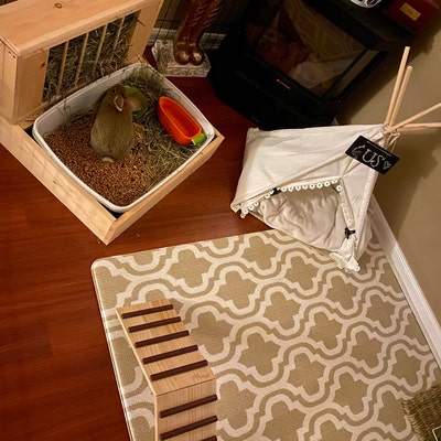 Large Hop Box: Rabbit Bunny Hay Feeder and Litter Pan Combo, Sifting ...