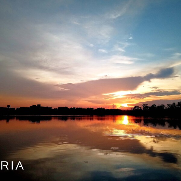 Rare Jackal Horn Gidar Singhi Black Magic Powerful Talisman Rituals ...