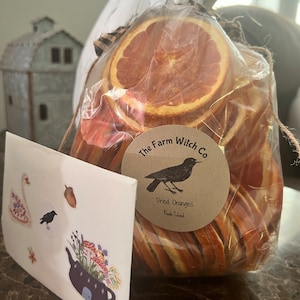 Mini Putka Pumpkins-primitive Decor-fall - Etsy