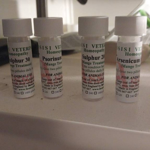 ECZEMA HOMEOPATHY CREAM for Dogs & Cats With Flaky ,dry Skin Eczema - Etsy
