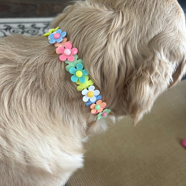 Good and Plenty Bead Dog Collar, Valentine, Necklace for Dog, Beaded ...