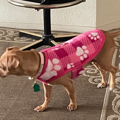 Racing Checkered Flag Fleece Dog Harness Coat - Etsy