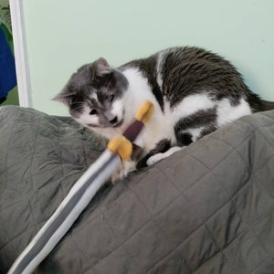 Epic Items Catnip Toy Arming Sword, Kitty Kicker, Filled W/certified ...