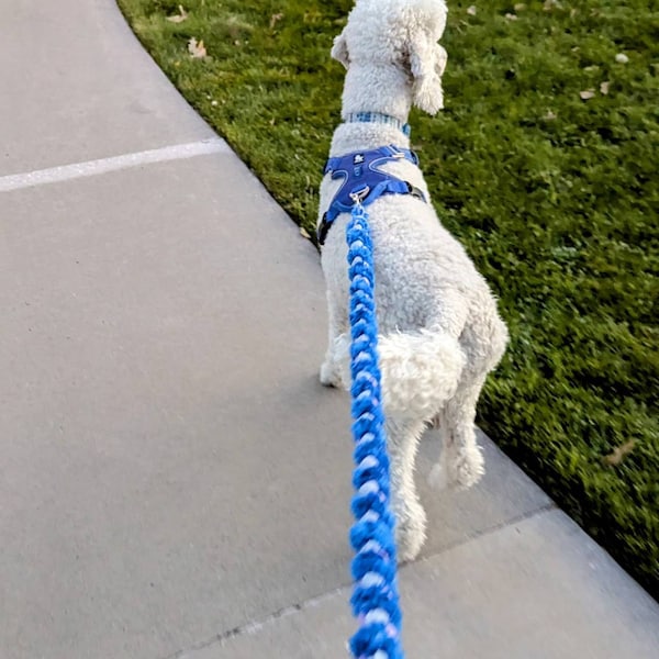 Custom Handmade Fleece and Minky Dog Leash - Etsy