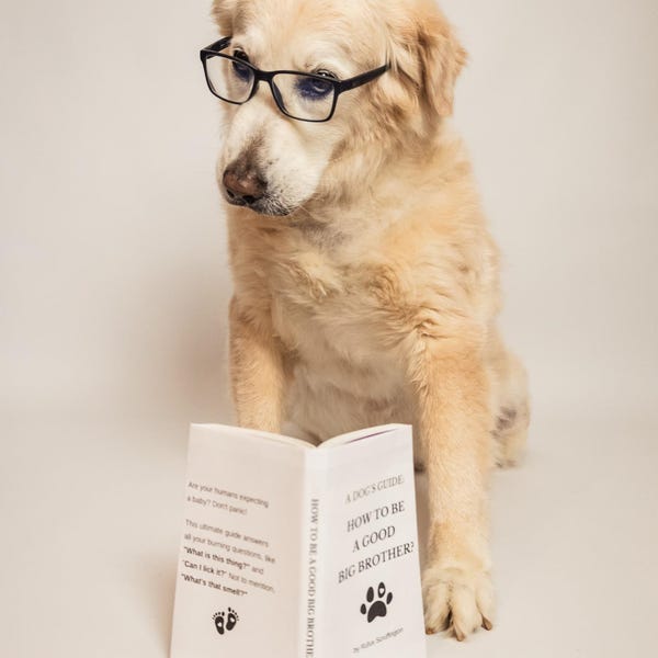 Boy or Girl Gender Reveal Maze Game, Boho Gender Reveal Labyrinth ...