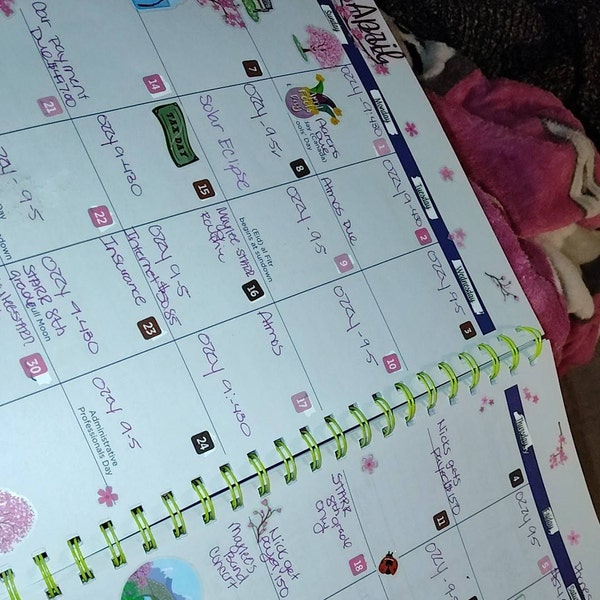 June Monthly Bullet Journal Sticker Kit Strawberry Themed Sticker ...