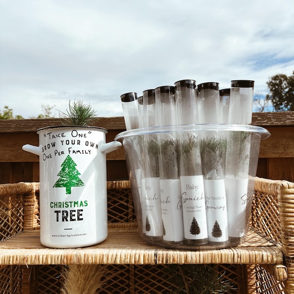 Baby Shower Tree Favor | Favors for Baby Shower | Gift Trees | Baby ...