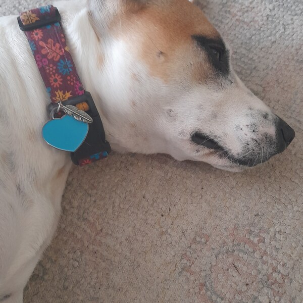 Audrey Dog ID Tag Silver/aqua - Etsy