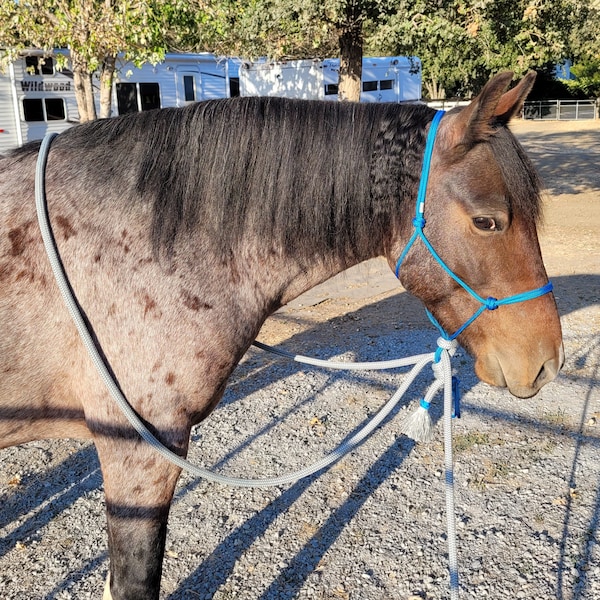Rope Halter & Mecates - Natural Horsemanship Hackamore - 21 Colors - 2 ...
