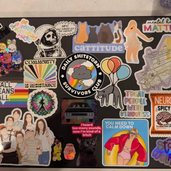 Record Player Sticker, Bad Reputation Lyrics, Gift for Music Lover ...