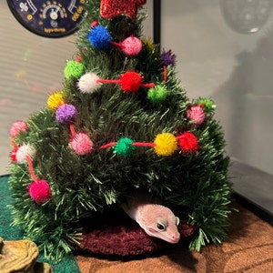 Heidi the High Frequency Word Hedgehog fry Sight Words - Etsy