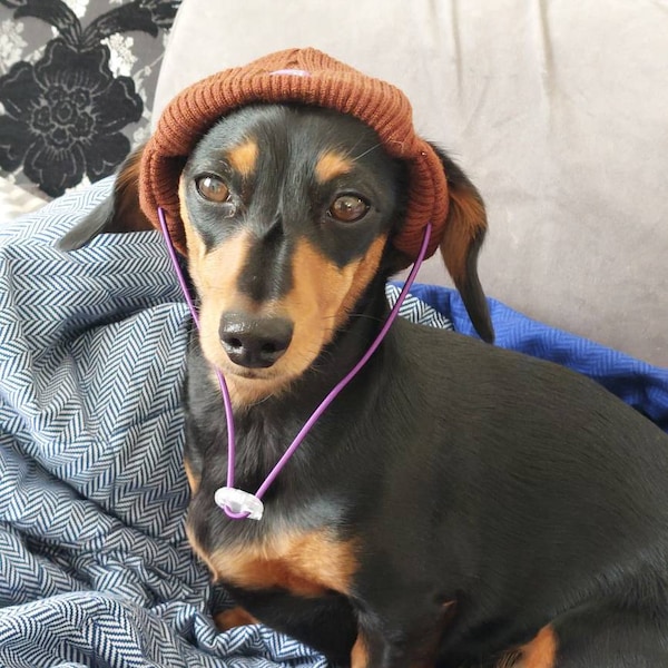 Corduroy Dog Cap – Stylish Dog Baseball Hat With Ear Holes | Adjustable ...