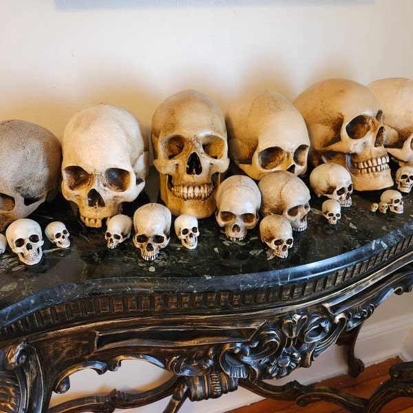 Winged Raven Skull, Afterlife Totem of the Elysian Corvid, Wall Mounted ...