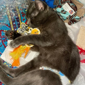 Cannabis Weed Marijuana Joint 420 Kitty Stash Cat Nip Toy 100% - Etsy