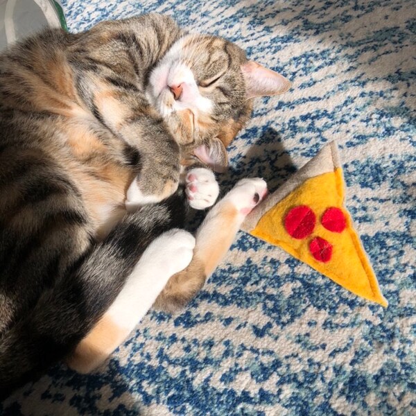 Pepperoni Pizza Slice Catnip Cat Toy - Ready to Ship, Gift for Cat ...