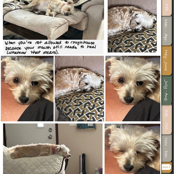 Digital Memory Book, Digital Scrapbook, Digital Project Life | Digital ...