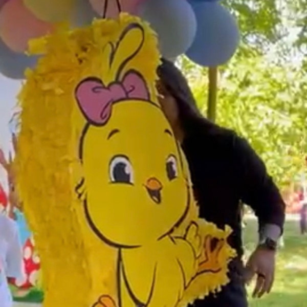 Canticos Pinata, Ricky Pinata, Kiki Pinata, Nicky Pinata and Friends ...