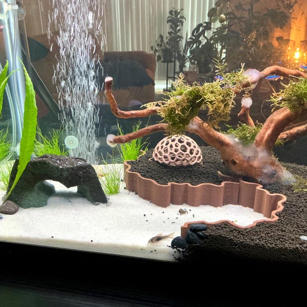 Tidal Cave Nature Inspired Terrarium Aquarium for Shrimps, Fish, and ...