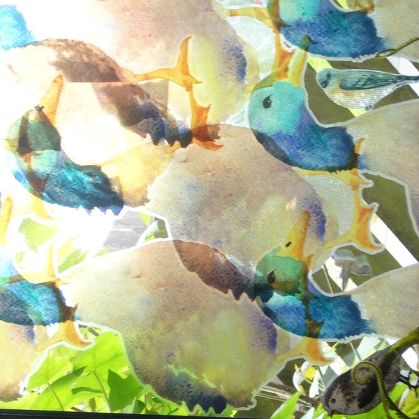 Duck Window Stickers, Duck Window Decal, Spring Duck Window Sticker ...