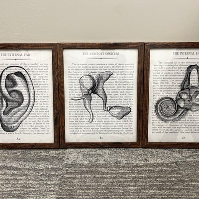 Ear Art Ear and Inner Ear Vintage Anatomy Art Print Set of 2 Audiology ...