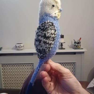 Northern Cardinal Knitting Pattern Red Bird Knitting Pattern for a ...