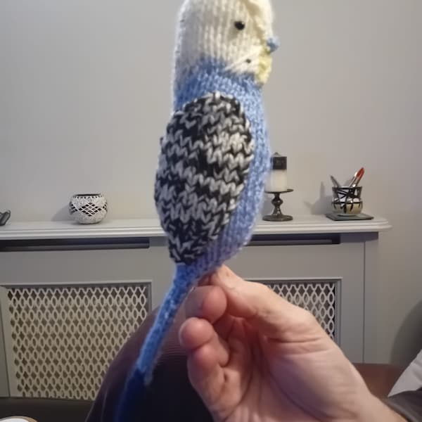Parakeet Knit Kit - Sparky the Budgie Knit Kit - Cute Parakeet Knit Kit ...