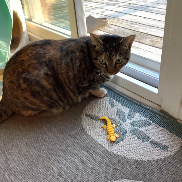 Kitty Lizard Articulated Cat Toy - Etsy